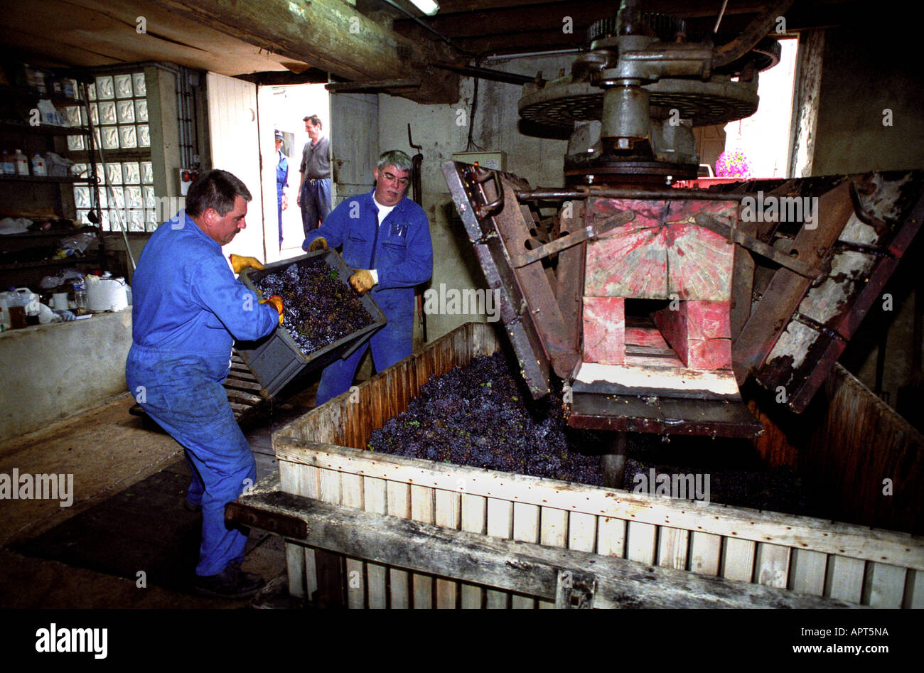 Pressing champagne -Fotos und -Bildmaterial in hoher Auflösung – Alamy