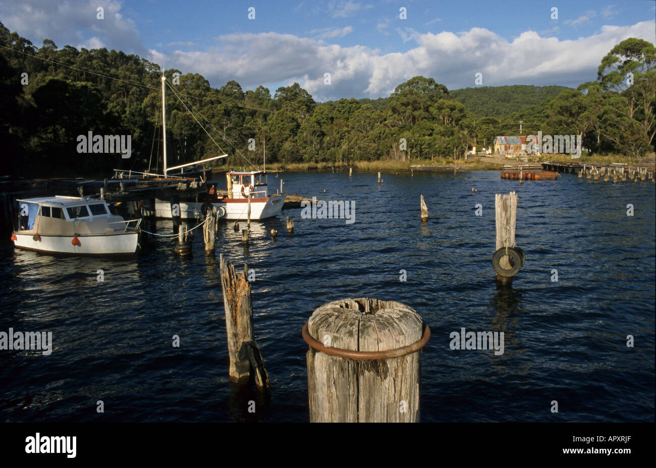 Kleine Boote, Westküste Hafen, Strahan, Australien, Nouvelle, Strahan ...