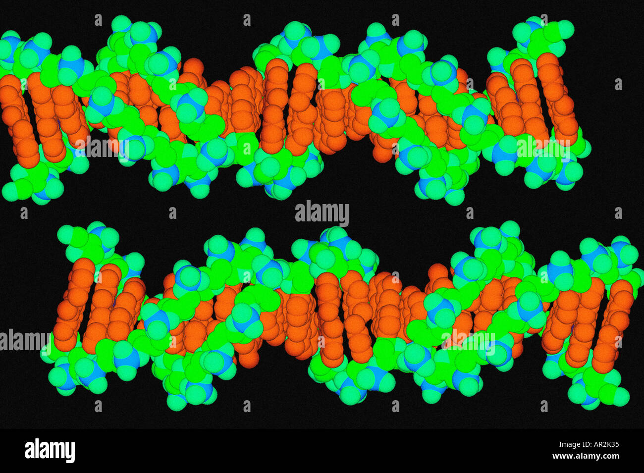 Space filling model dna -Fotos und -Bildmaterial in hoher Auflösung – Alamy