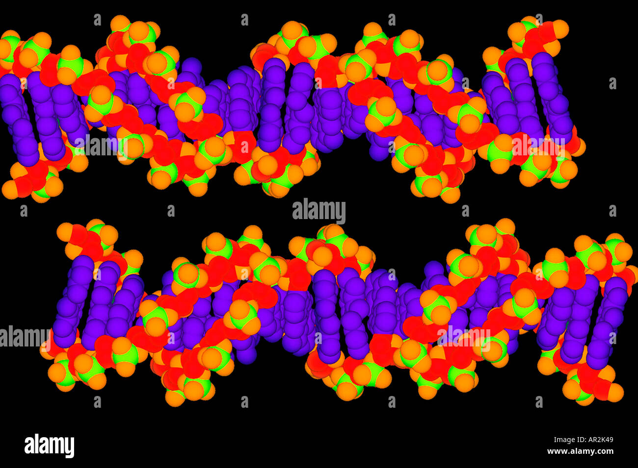 Molekülmodell eines DNA-Moleküls zeigt die Basenpaare in blau und das ...