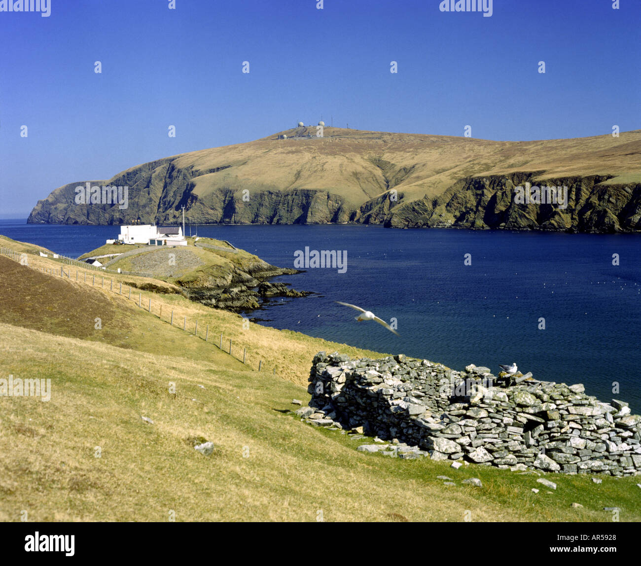 Burrafirth shetlandinseln -Fotos und -Bildmaterial in hoher Auflösung ...