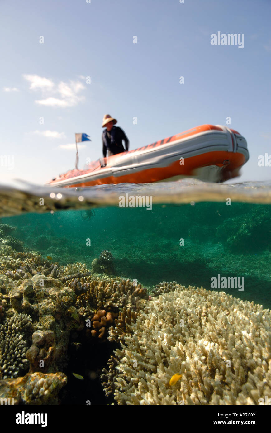 Über Riff, Imperieuse Kanal, Rowley Shoals Marine Park, Western ...