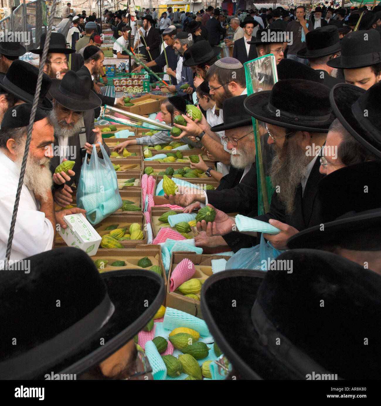 Etrog Citron Stockfotos und -bilder Kaufen - Alamy