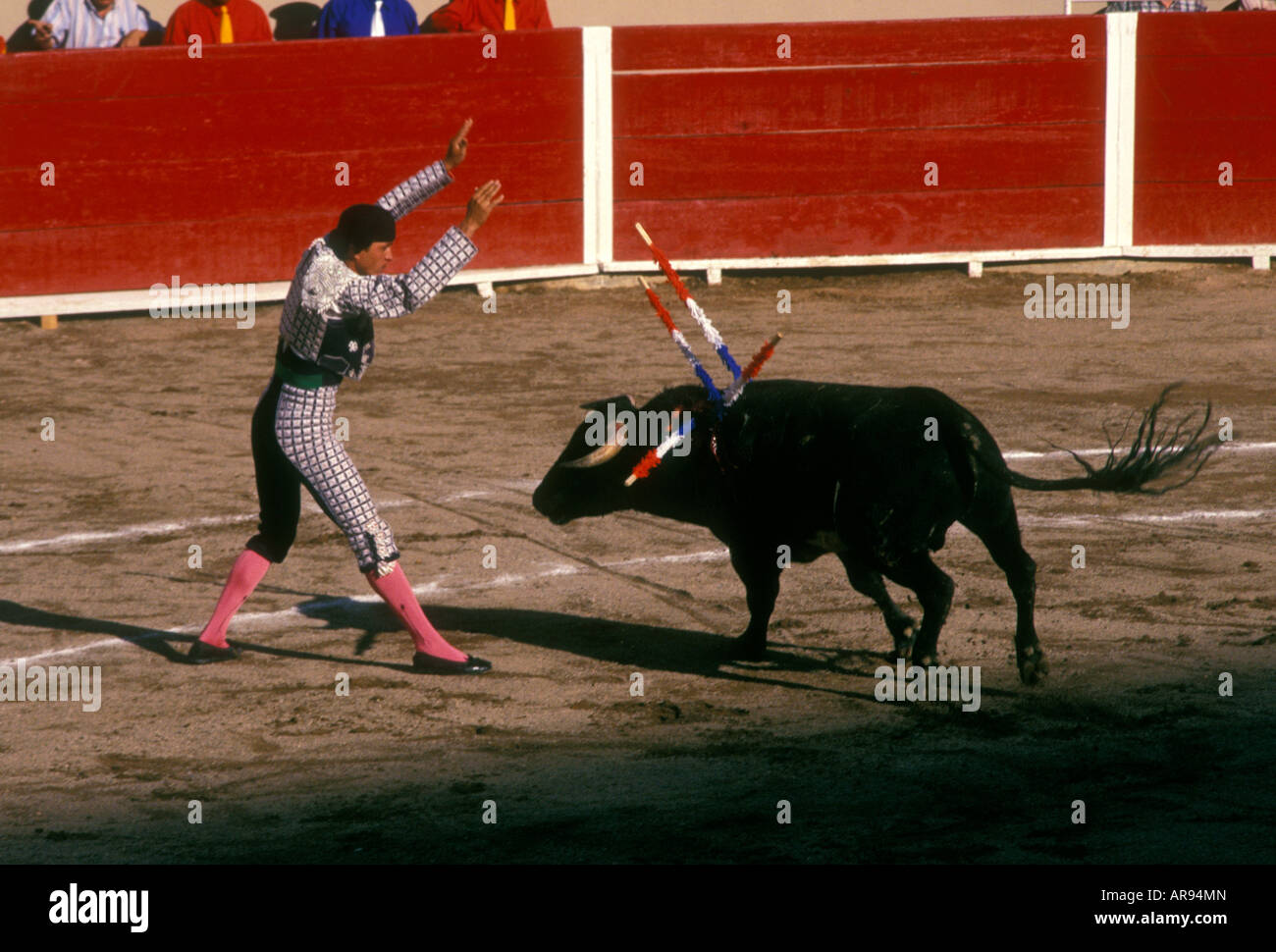 Wounded matador -Fotos und -Bildmaterial in hoher Auflösung – Alamy