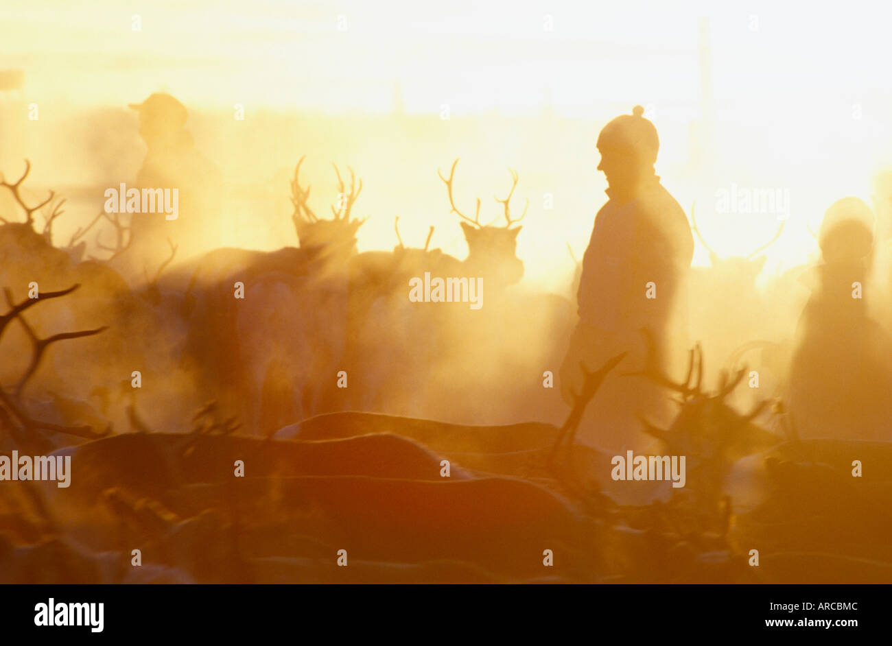 Nordschweden sami ureinwohner -Fotos und -Bildmaterial in hoher ...