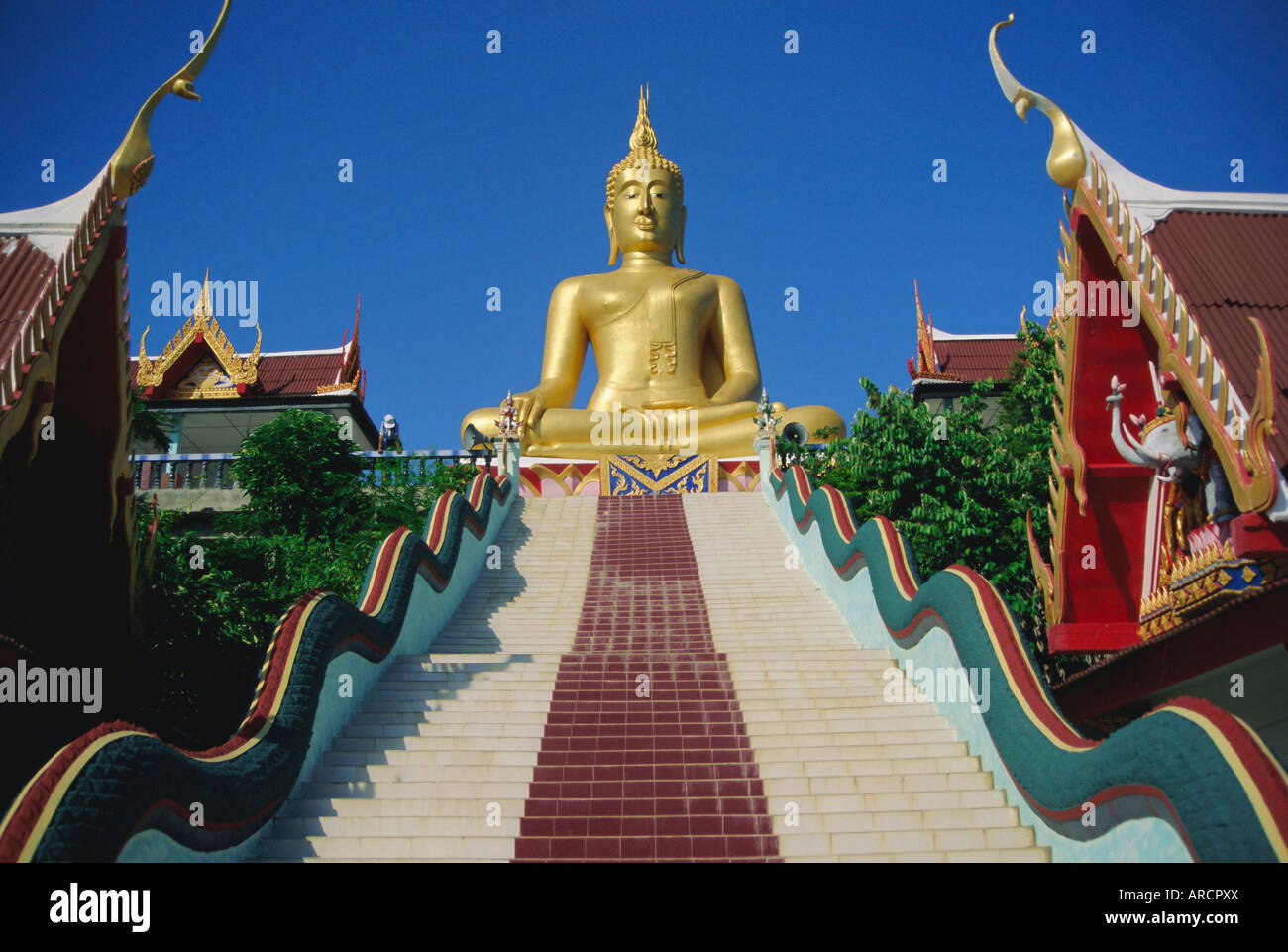Goldenen Buddha Tempel, Koh Samui, Thailand, Asien Stockfotografie - Alamy