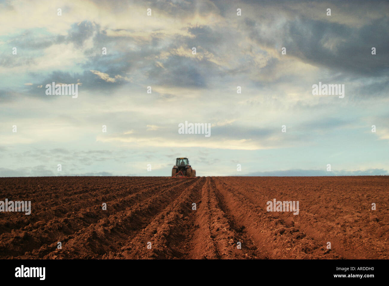 Traktor, ein Feld zu pflügen Stockfotografie - Alamy