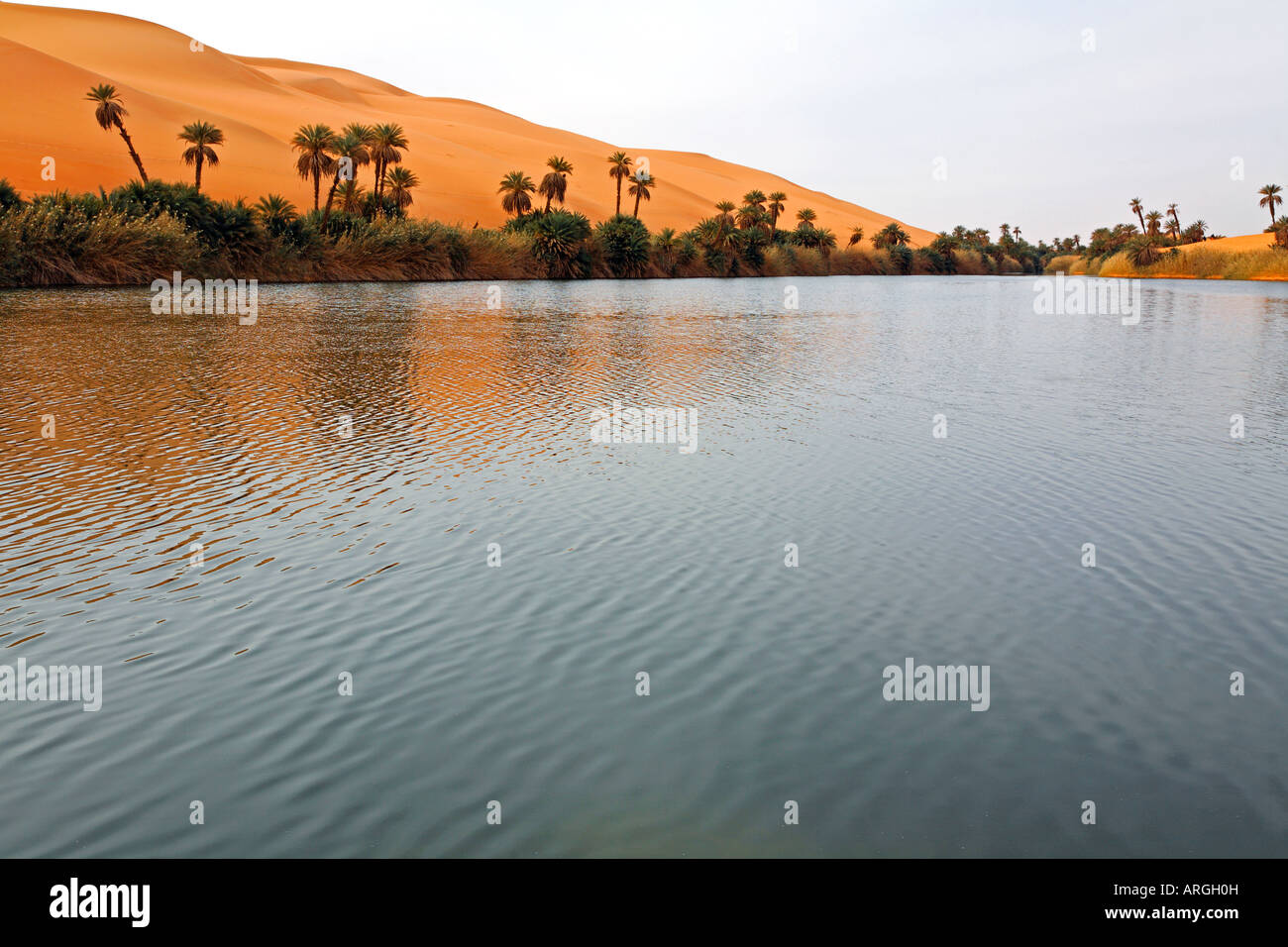 Libya Desert Oasis Stockfotos und -bilder Kaufen - Alamy