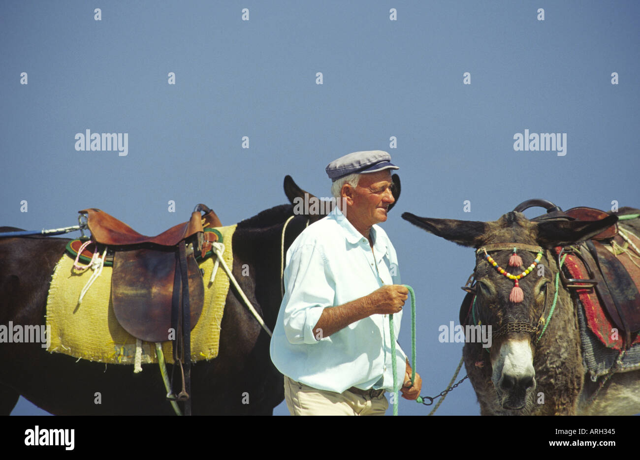 Esel von thera -Fotos und -Bildmaterial in hoher Auflösung – Alamy