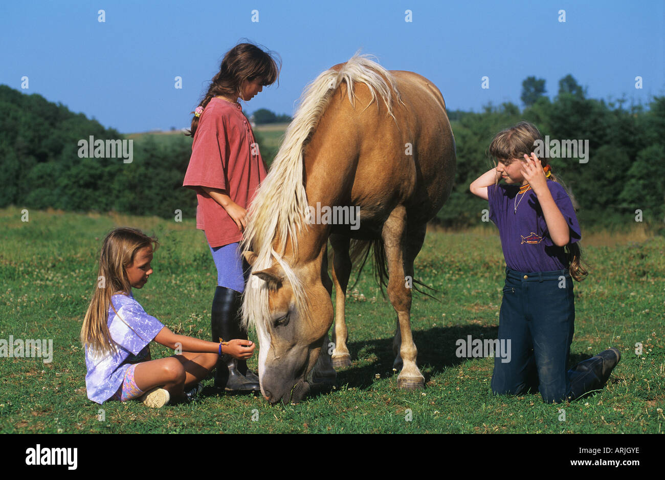 Mädchen sitzt auf dem pferd -Fotos und -Bildmaterial in hoher Auflösung ...