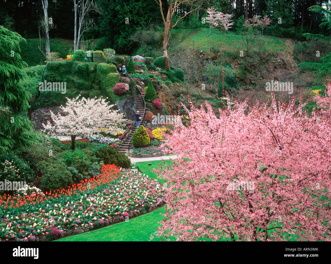 Butchart garten fotos -Fotos und -Bildmaterial in hoher Auflösung – Alamy