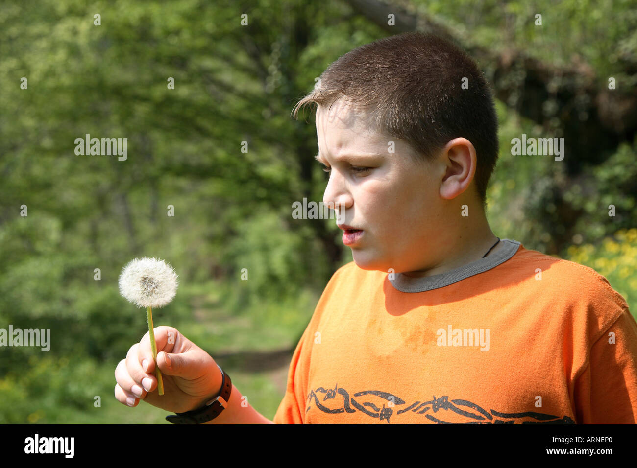 Jungs 12 bis 13 jahre alt -Fotos und -Bildmaterial in hoher Auflösung ...