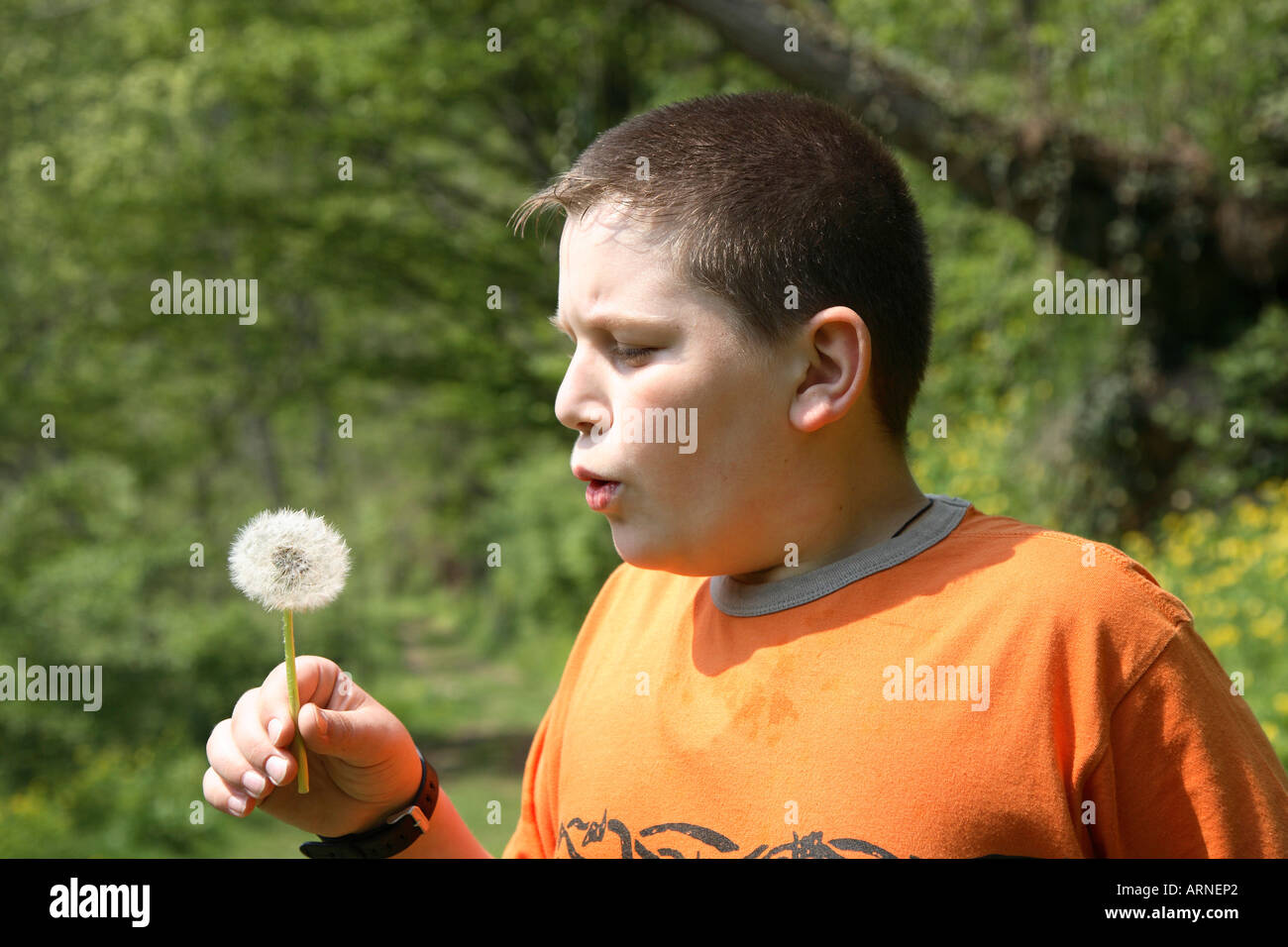 Jungs 12 bis 13 jahre alt -Fotos und -Bildmaterial in hoher Auflösung ...