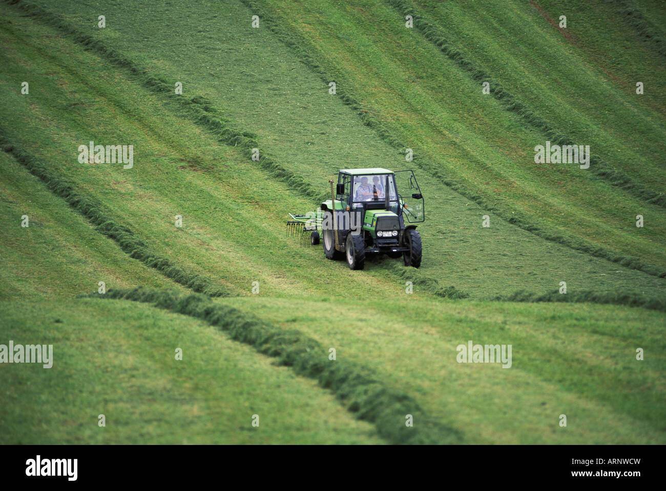 Mit Rechen Stockfotos und -bilder Kaufen - Alamy