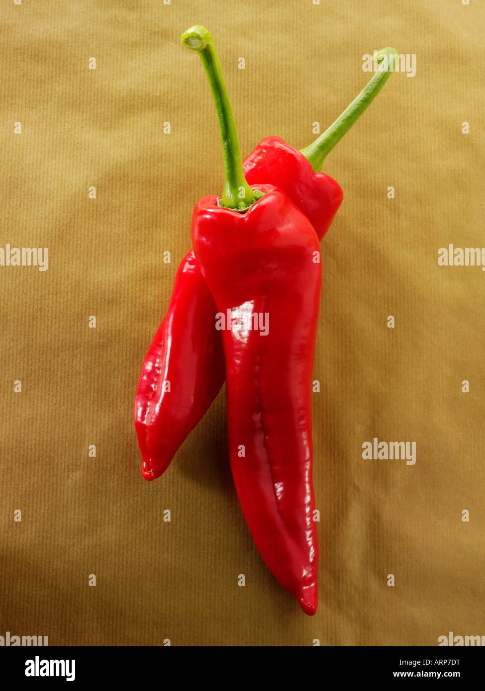 Red pointed pepper -Fotos und -Bildmaterial in hoher Auflösung – Alamy
