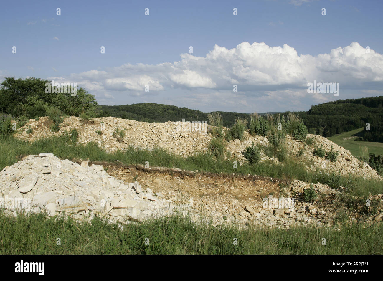 Fossil Limestone Stockfotos und -bilder Kaufen - Alamy