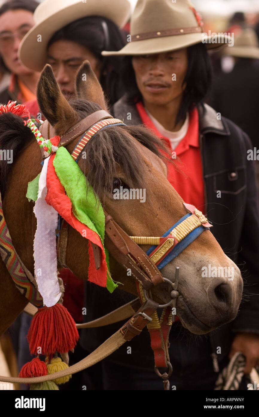 Lithang pferdefest -Fotos und -Bildmaterial in hoher Auflösung – Alamy