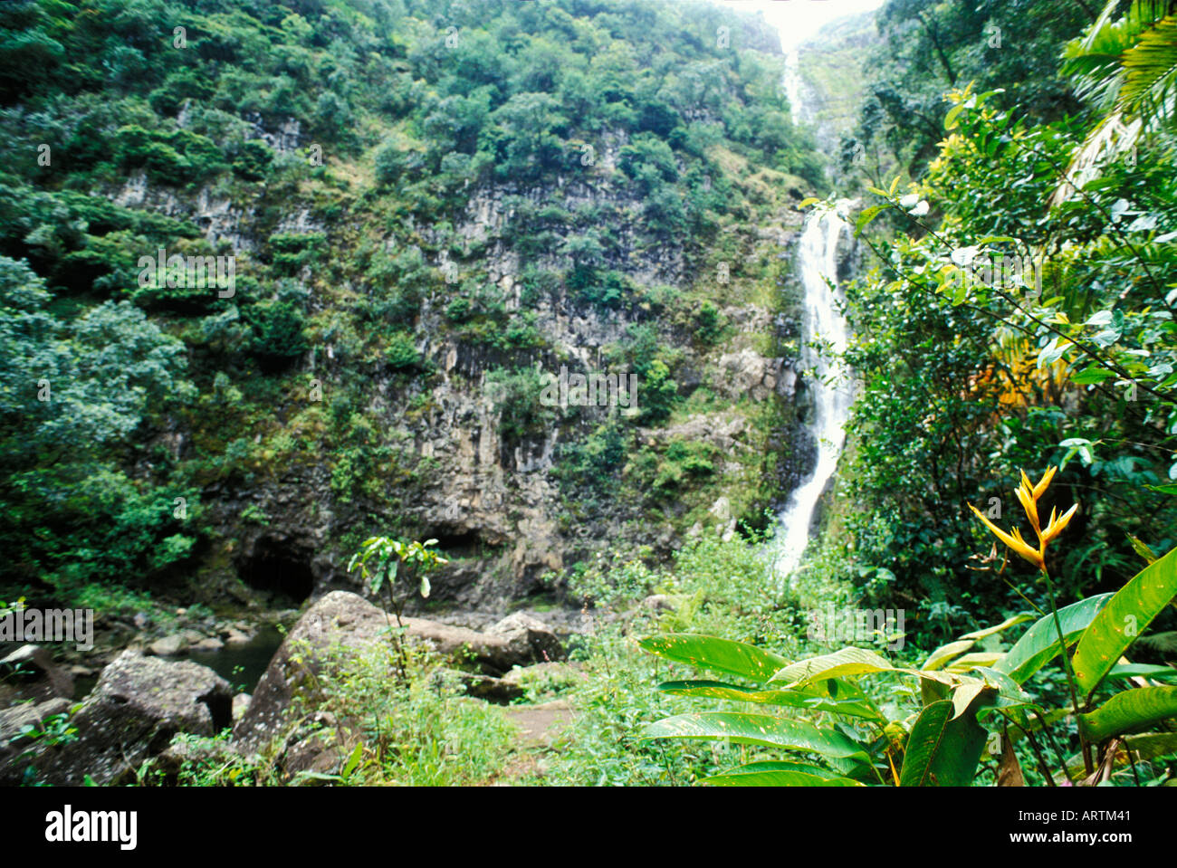 Waterfall molokai hawaii -Fotos und -Bildmaterial in hoher Auflösung ...