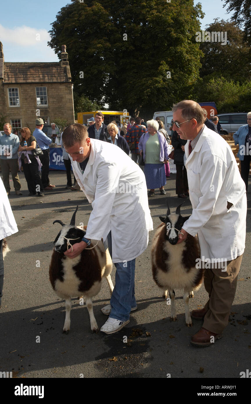 Masham Schafe Messe findet Ende September jedes Jahr in den Marktplatz ...