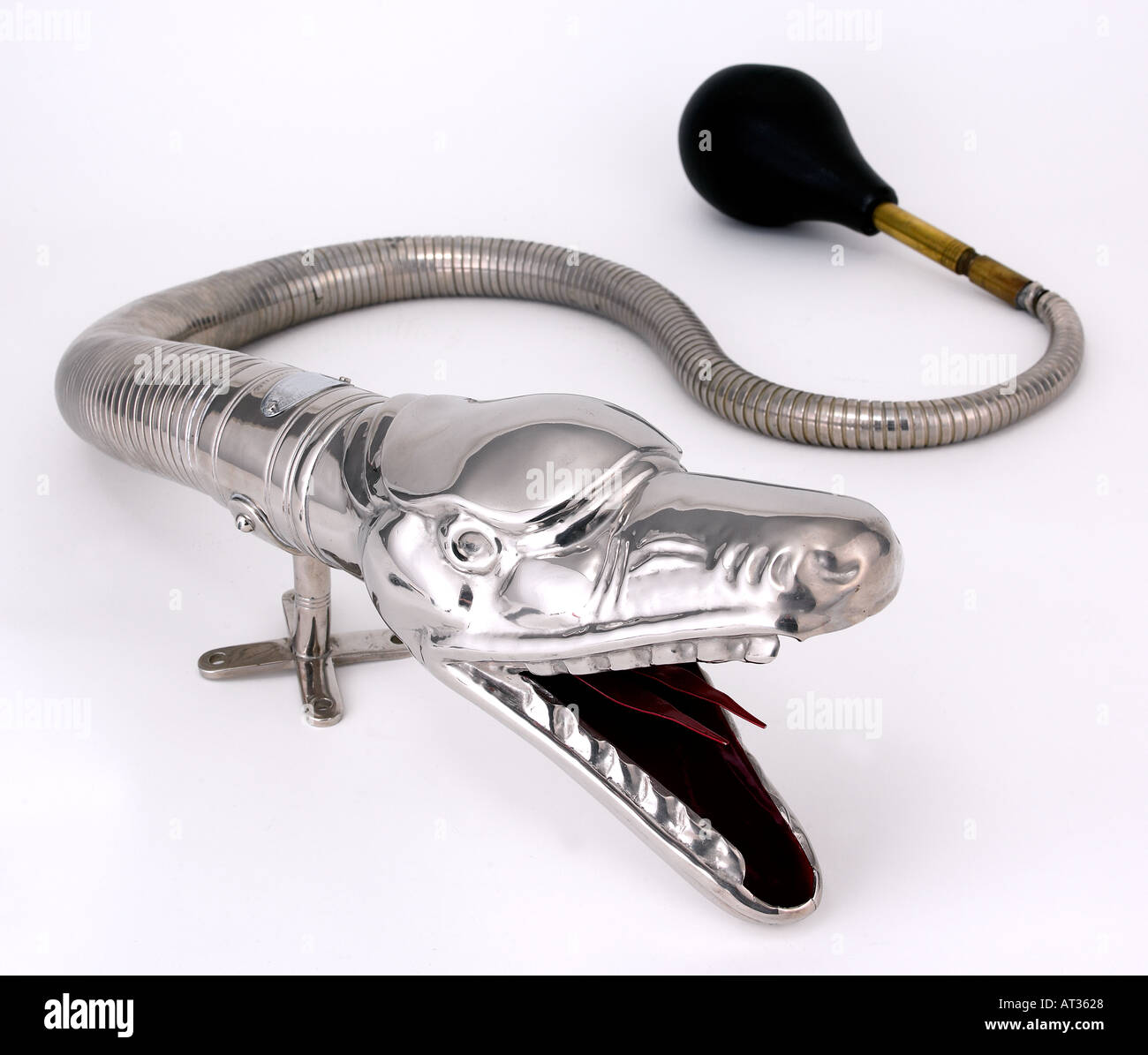 Boa constrictor horn -Fotos und -Bildmaterial in hoher Auflösung – Alamy