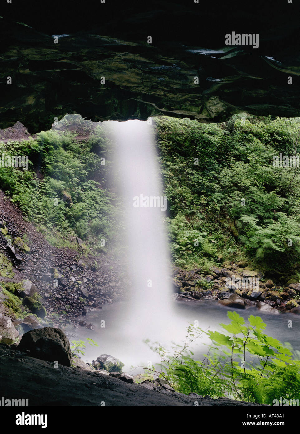Horse tail falls -Fotos und -Bildmaterial in hoher Auflösung – Alamy