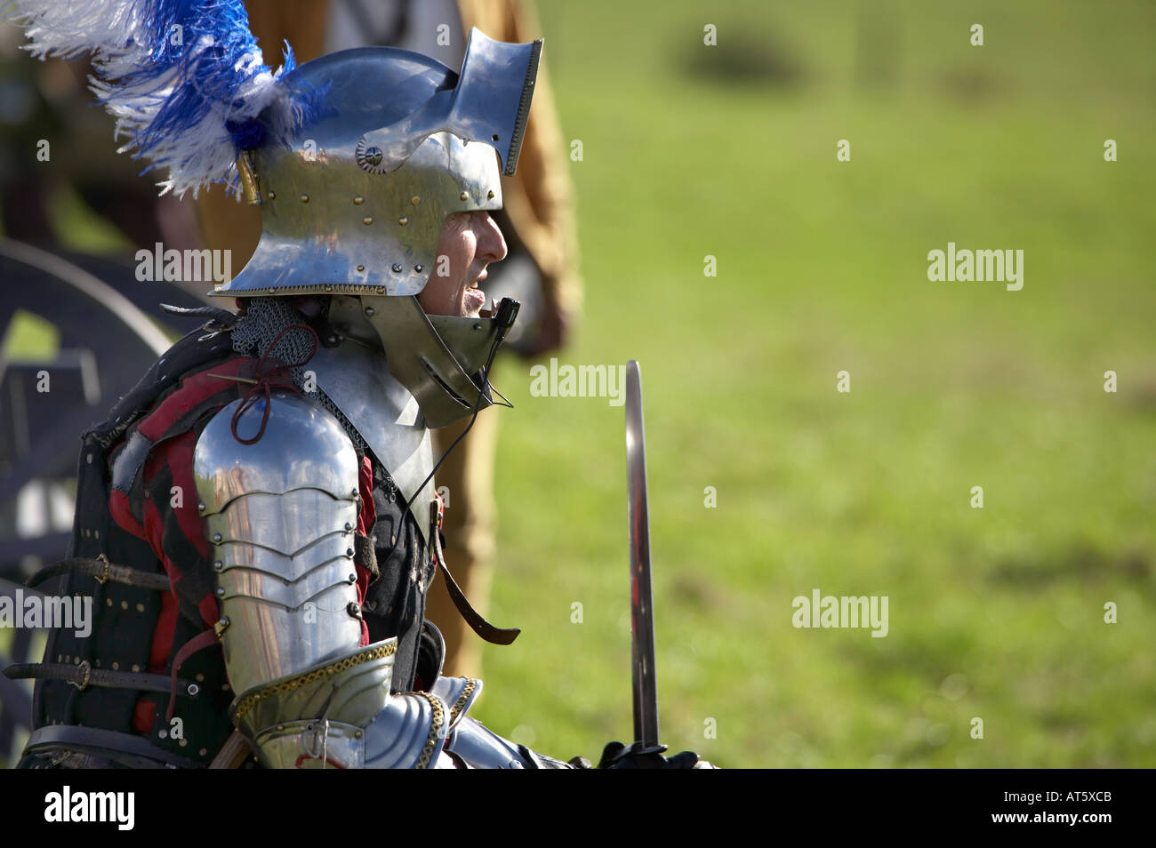 Schwert und rosen -Fotos und -Bildmaterial in hoher Auflösung – Alamy