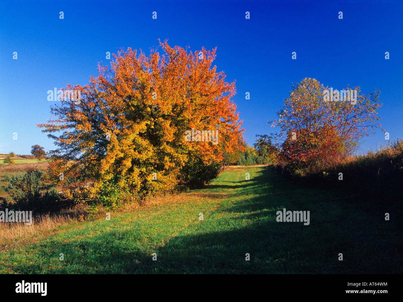 Polnische landschaft -Fotos und -Bildmaterial in hoher Auflösung – Alamy