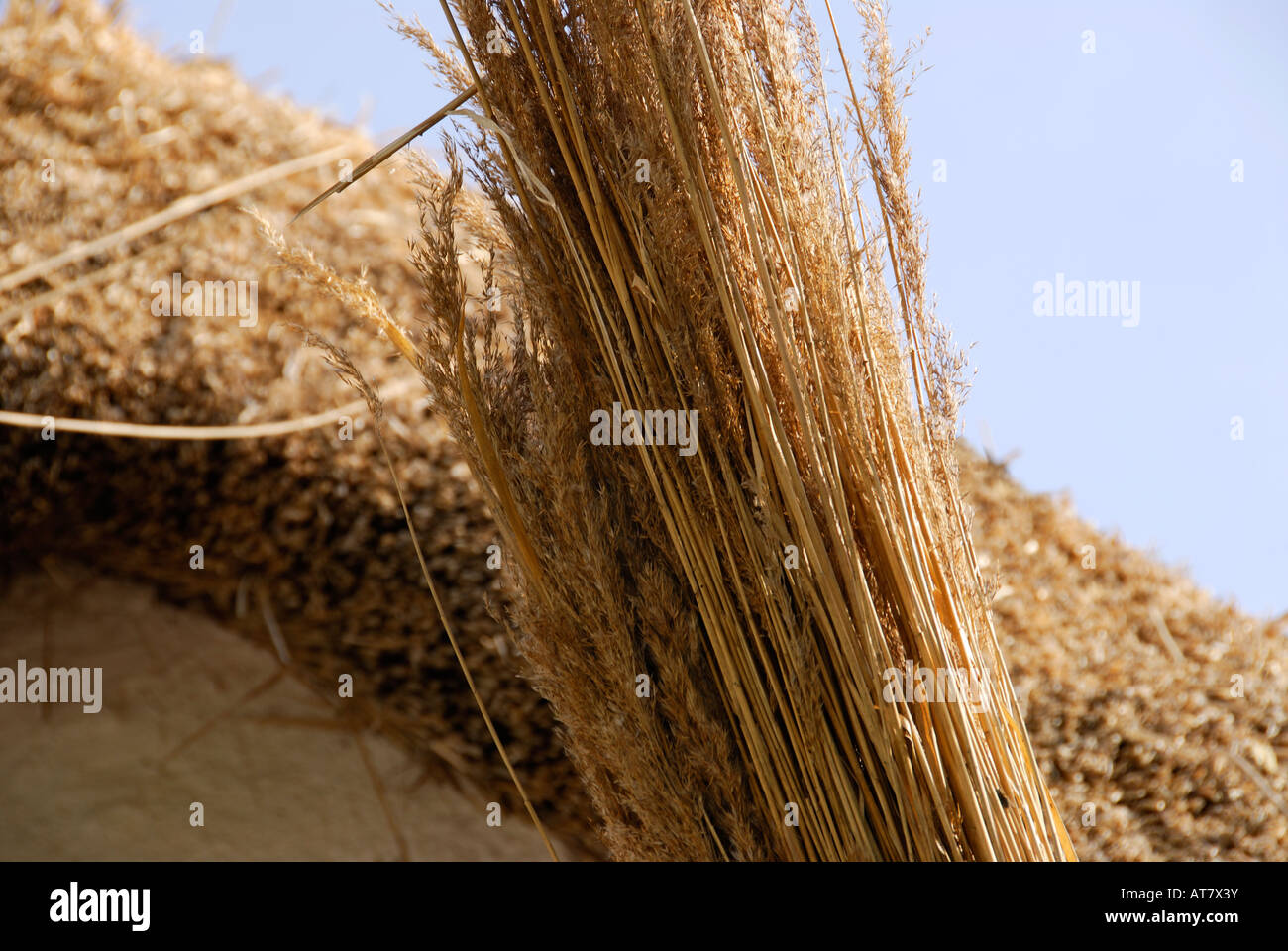 Dach strohhalm -Fotos und -Bildmaterial in hoher Auflösung – Alamy