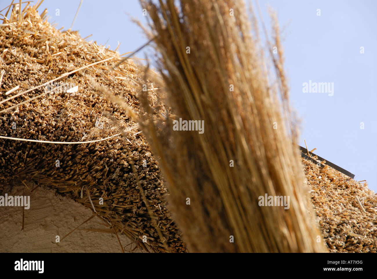 Dach strohhalm -Fotos und -Bildmaterial in hoher Auflösung – Alamy