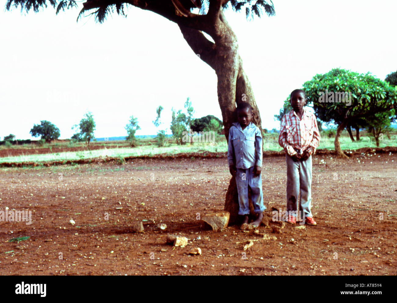 Terrasse nivellieren -Fotos und -Bildmaterial in hoher Auflösung – Alamy