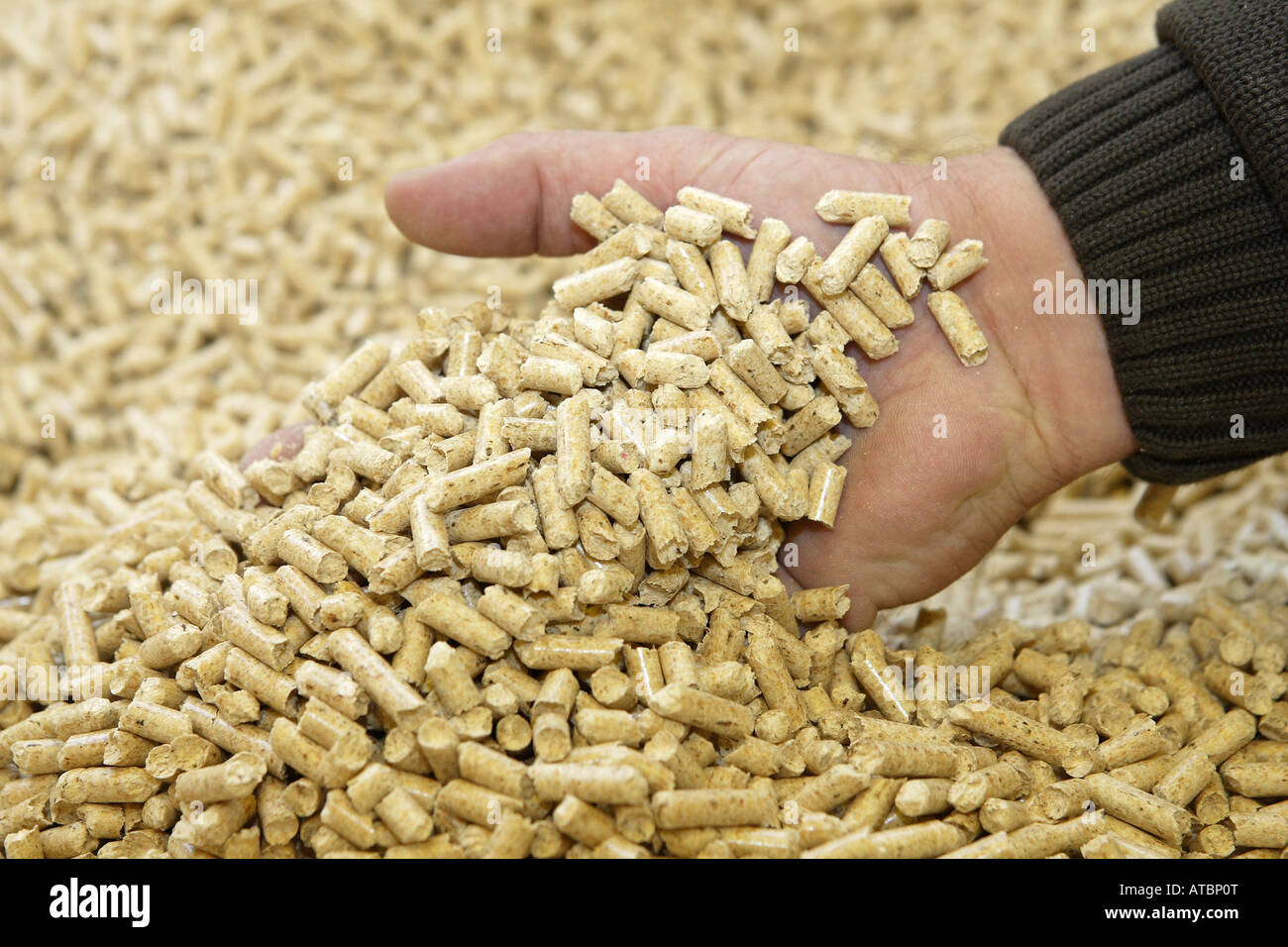 Produktion von holzpellets -Fotos und -Bildmaterial in hoher Auflösung ...