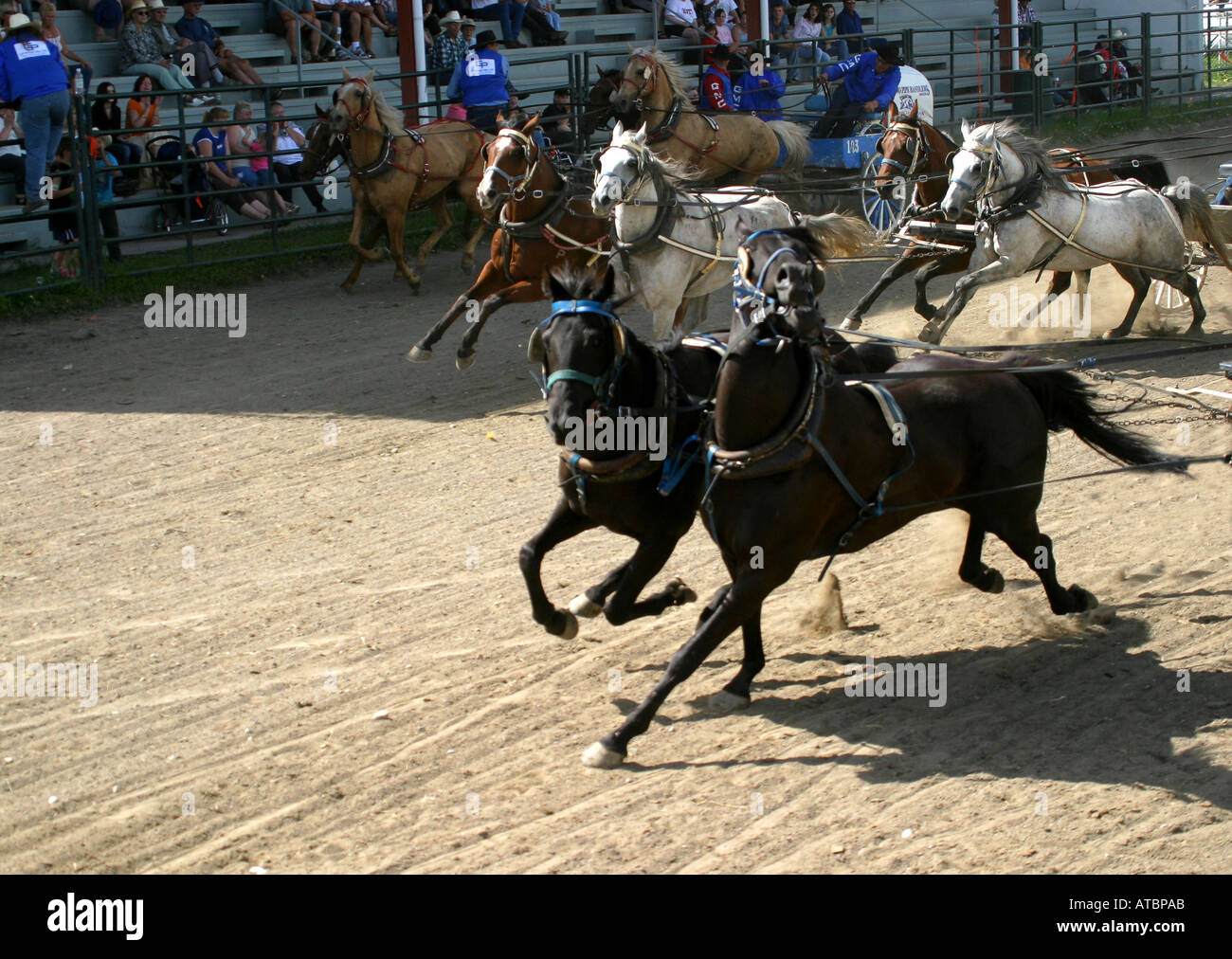 Mini chuck wagon -Fotos und -Bildmaterial in hoher Auflösung – Alamy