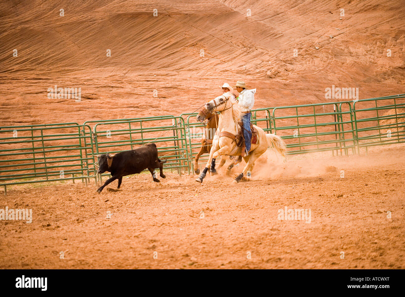 Fahrer im Team Steer Roping Event All Indian Rodeo Gallup Inter Tribal ...