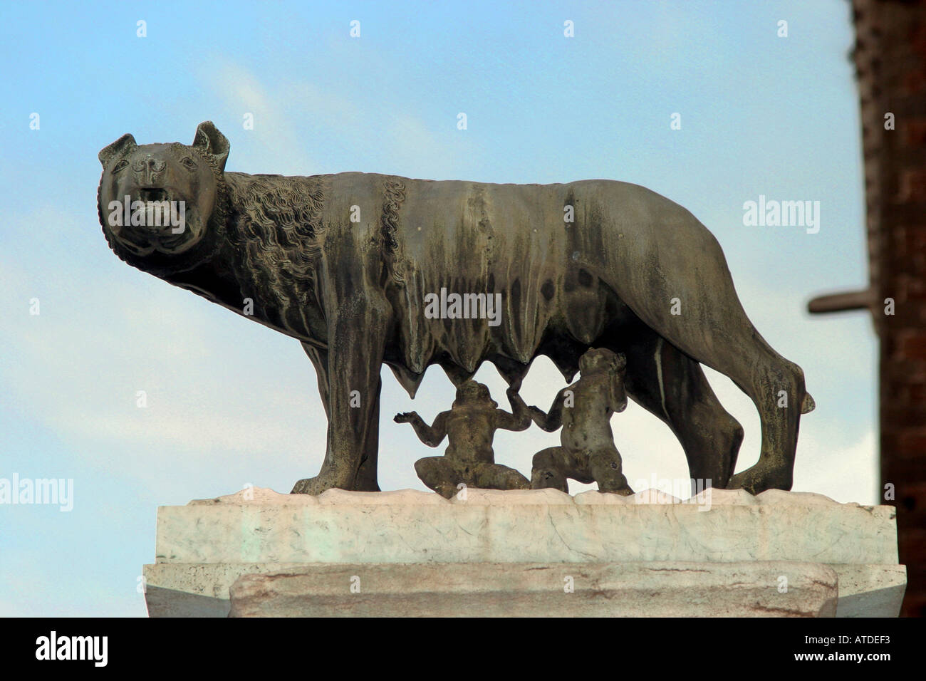Romulus remus wolf statue in -Fotos und -Bildmaterial in hoher ...