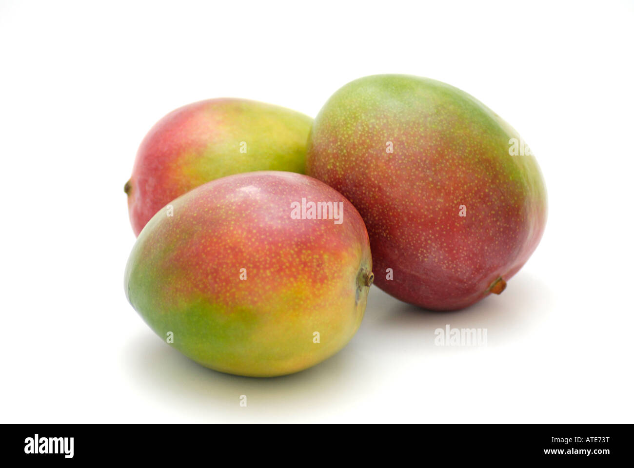 Er von mango -Fotos und -Bildmaterial in hoher Auflösung – Alamy