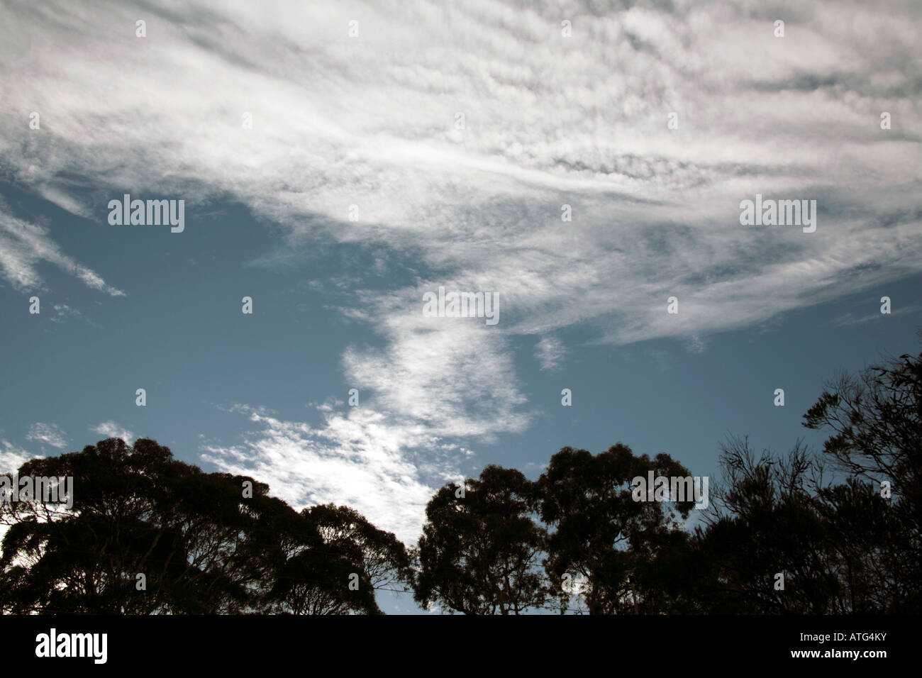 Altocumulus undulatus wolken -Fotos und -Bildmaterial in hoher ...