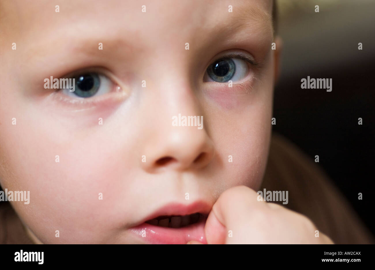 Smug roberts -Fotos und -Bildmaterial in hoher Auflösung – Alamy