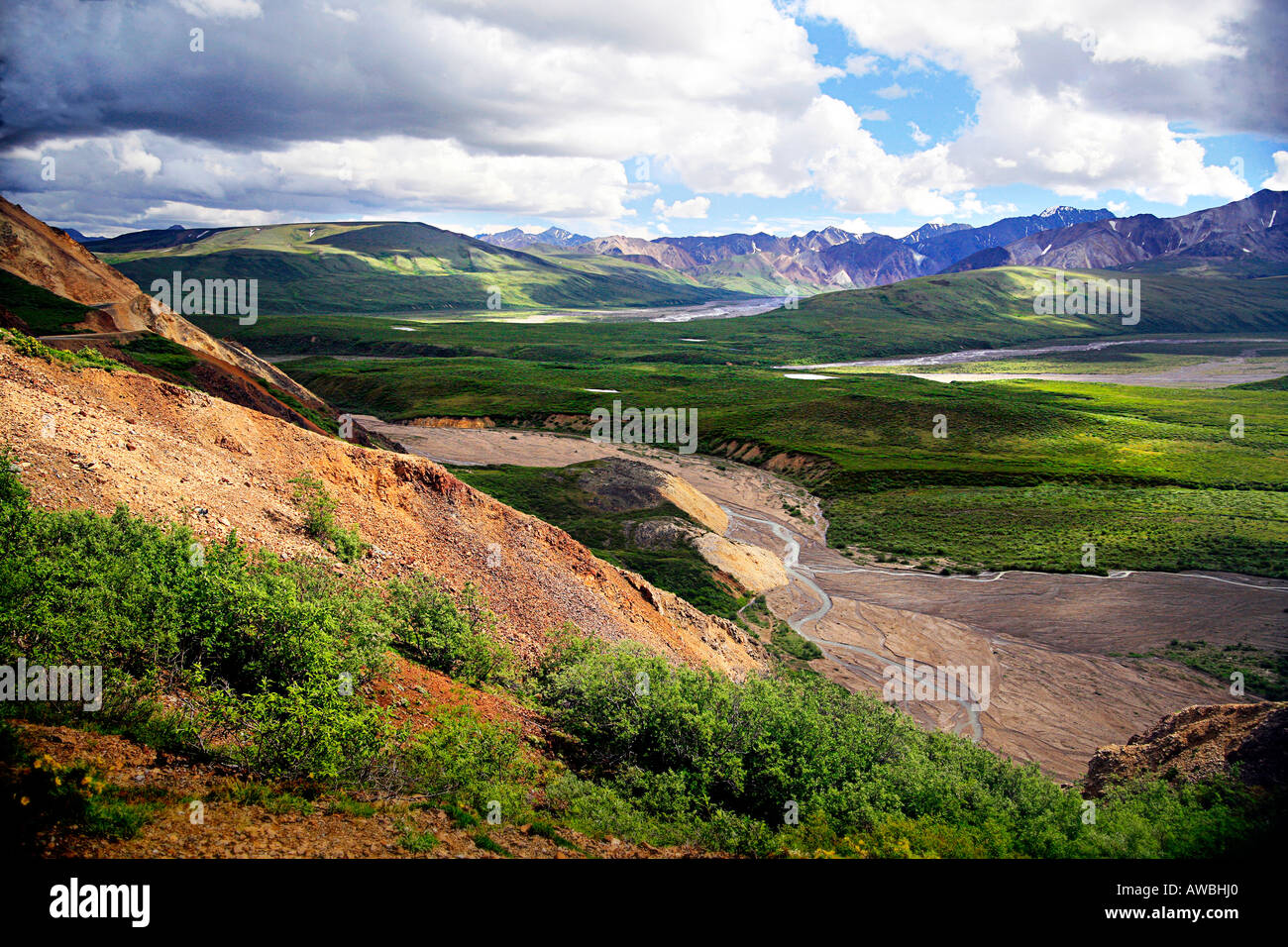 Sparse native grass -Fotos und -Bildmaterial in hoher Auflösung – Alamy