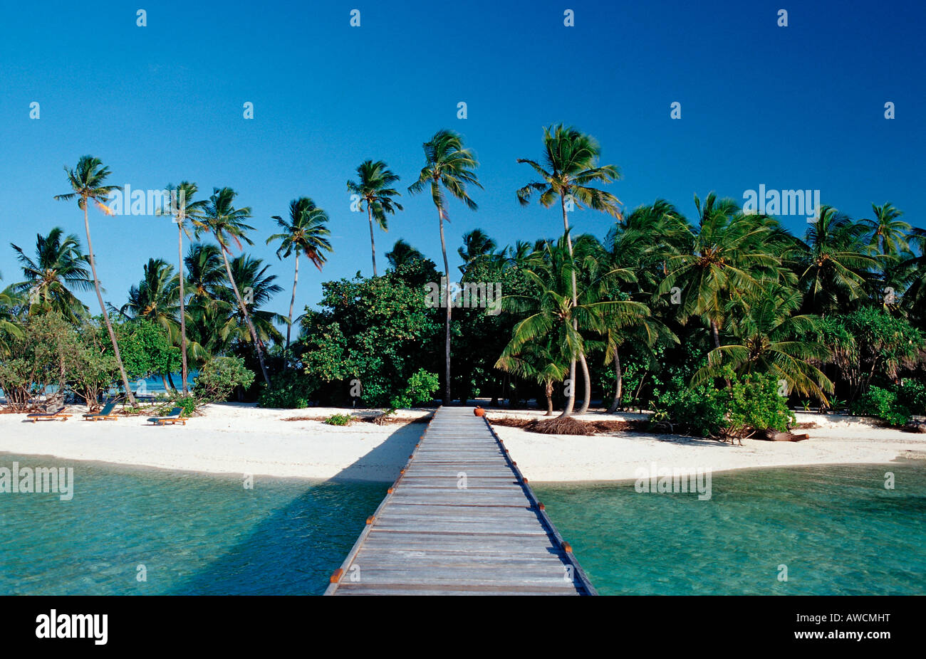 Palmy Beach auf Maledivian Insel Malediven Indischer Ozean Medhufushi ...