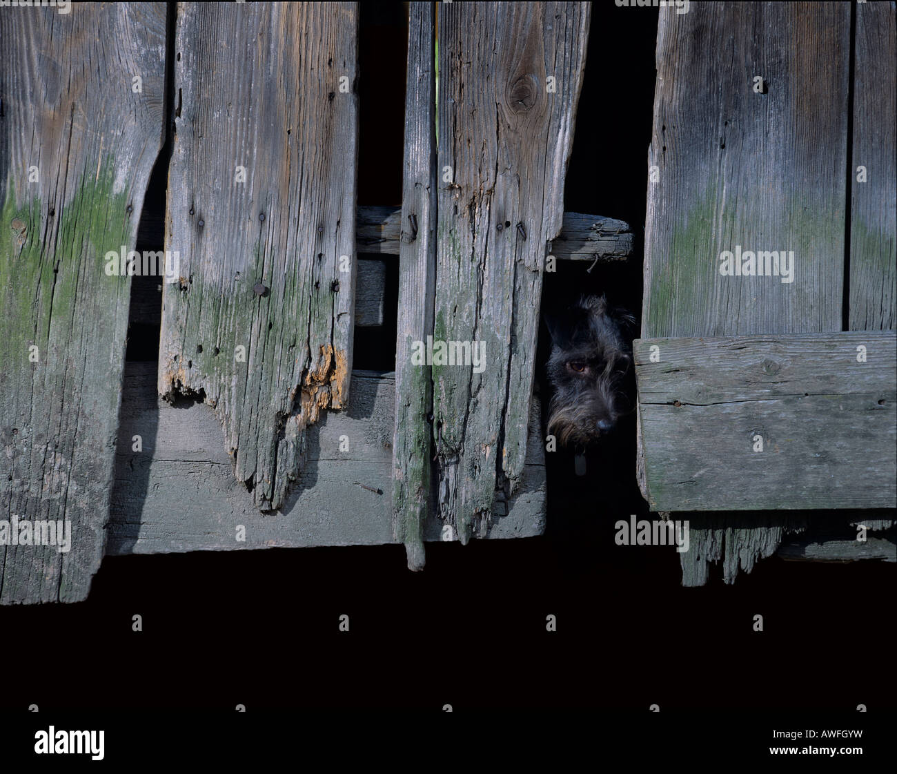 Scheune tore -Fotos und -Bildmaterial in hoher Auflösung – Alamy