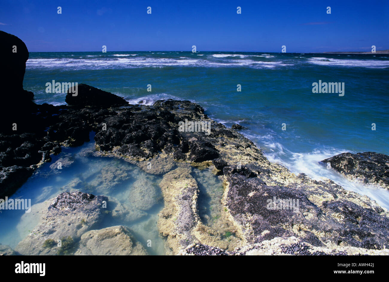 Tidel pool -Fotos und -Bildmaterial in hoher Auflösung – Alamy