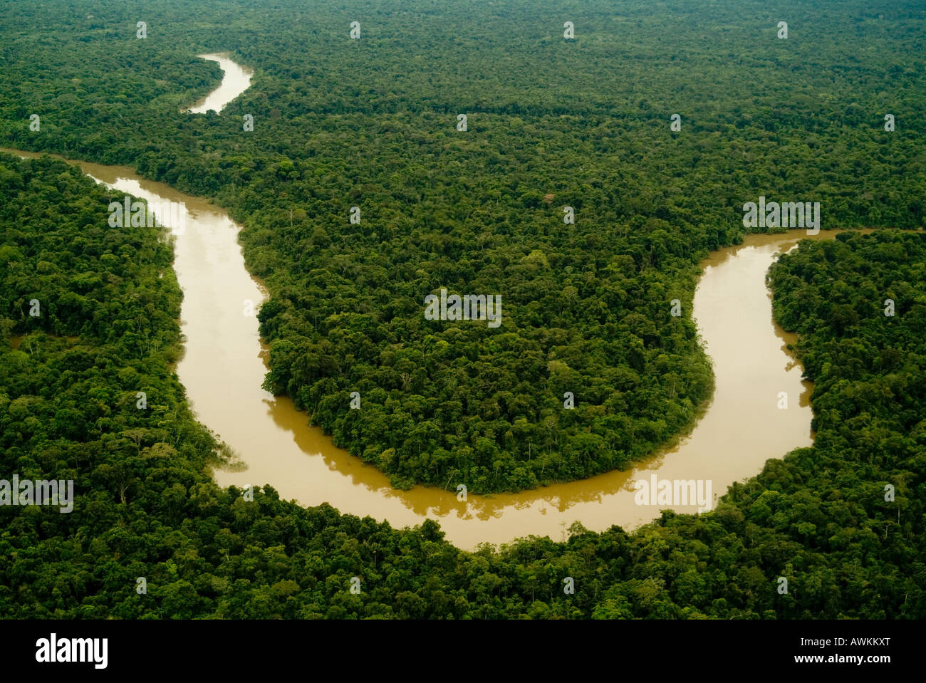 Peru amazonas regenwald -Fotos und -Bildmaterial in hoher Auflösung – Alamy