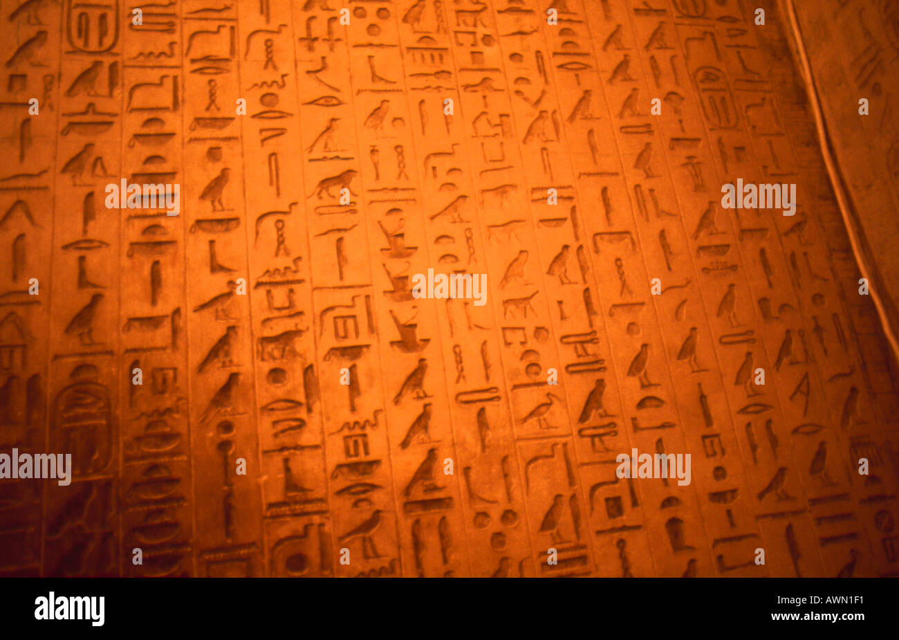 Egyptian hieroglyphs alphabet -Fotos und -Bildmaterial in hoher ...