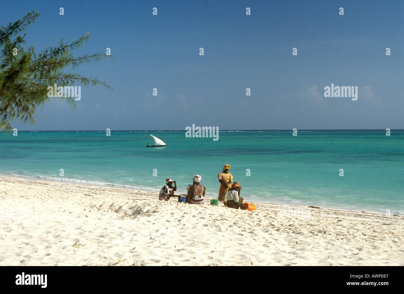 Einheimische Frauen mit Eimer Sand sitzen am Strand von Nungwi, Nord ...