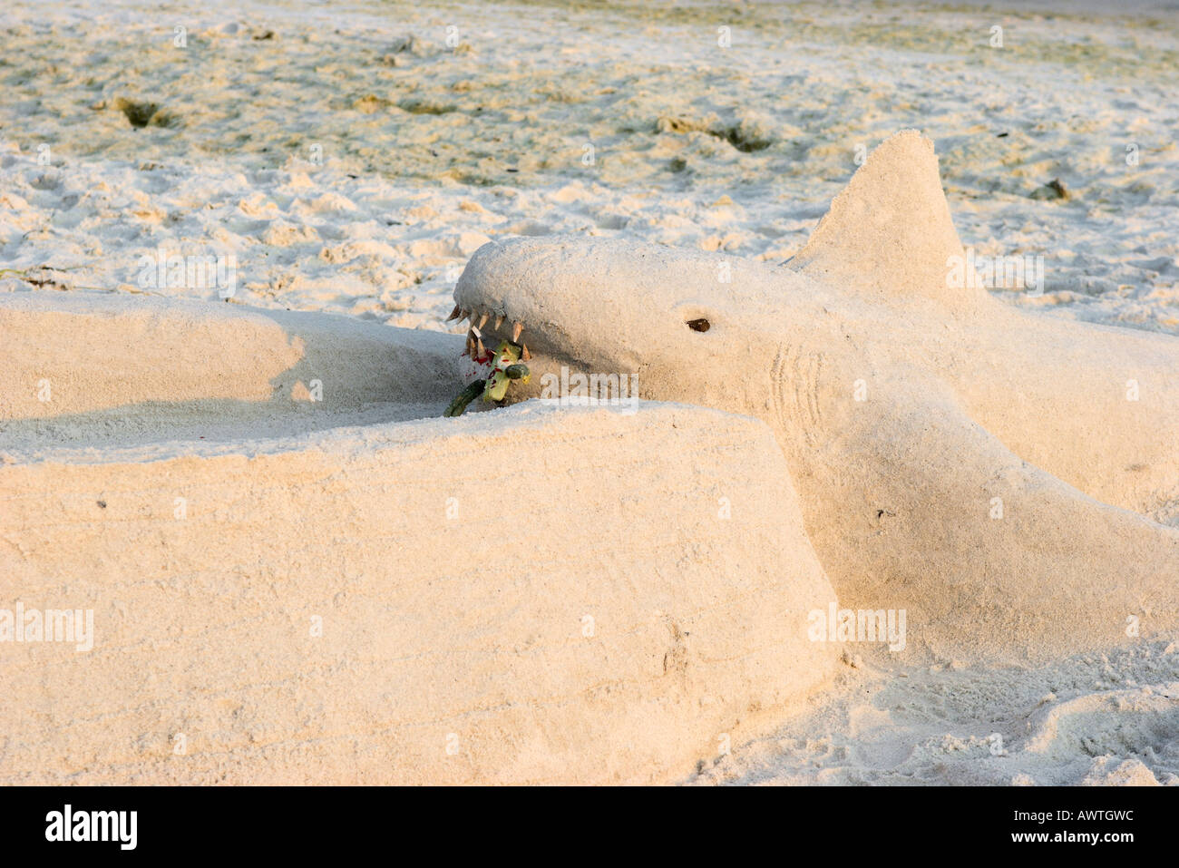 Jaws film shark -Fotos und -Bildmaterial in hoher Auflösung – Alamy