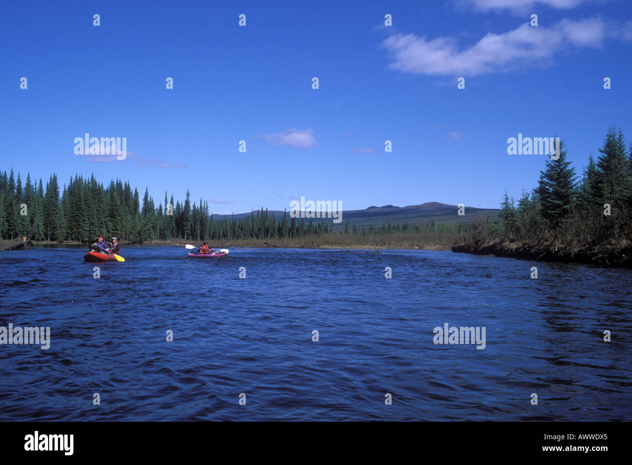 Beaver creek alaska -Fotos und -Bildmaterial in hoher Auflösung – Alamy