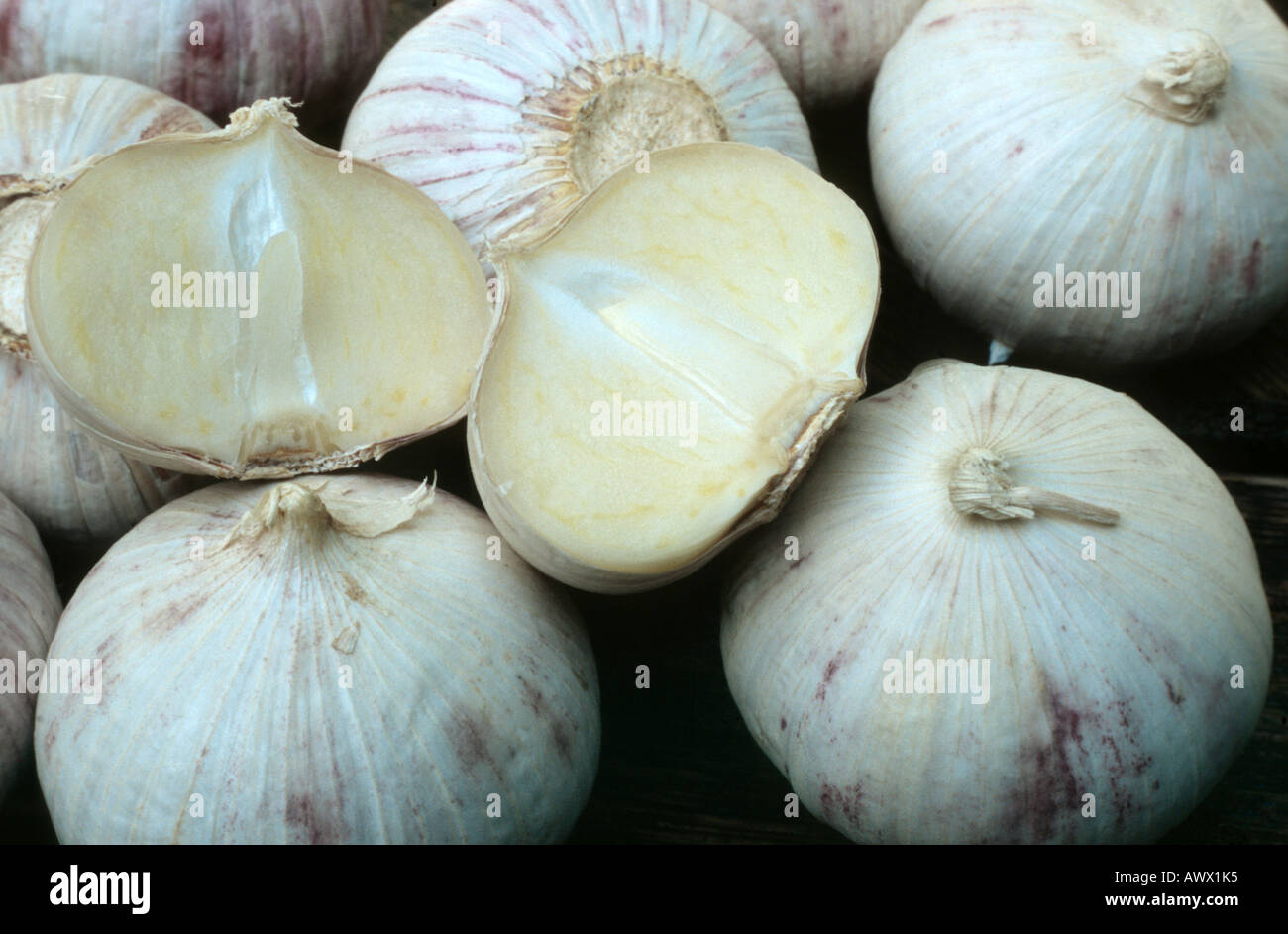 Wilder Lauch, Elefant Knoblauch (Allium Ampeloprasum), Knollen ...