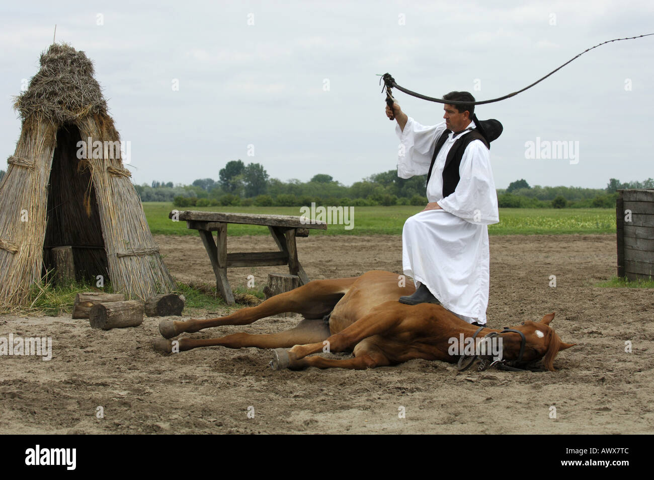Dressurreiterin mit gerte -Fotos und -Bildmaterial in hoher Auflösung ...