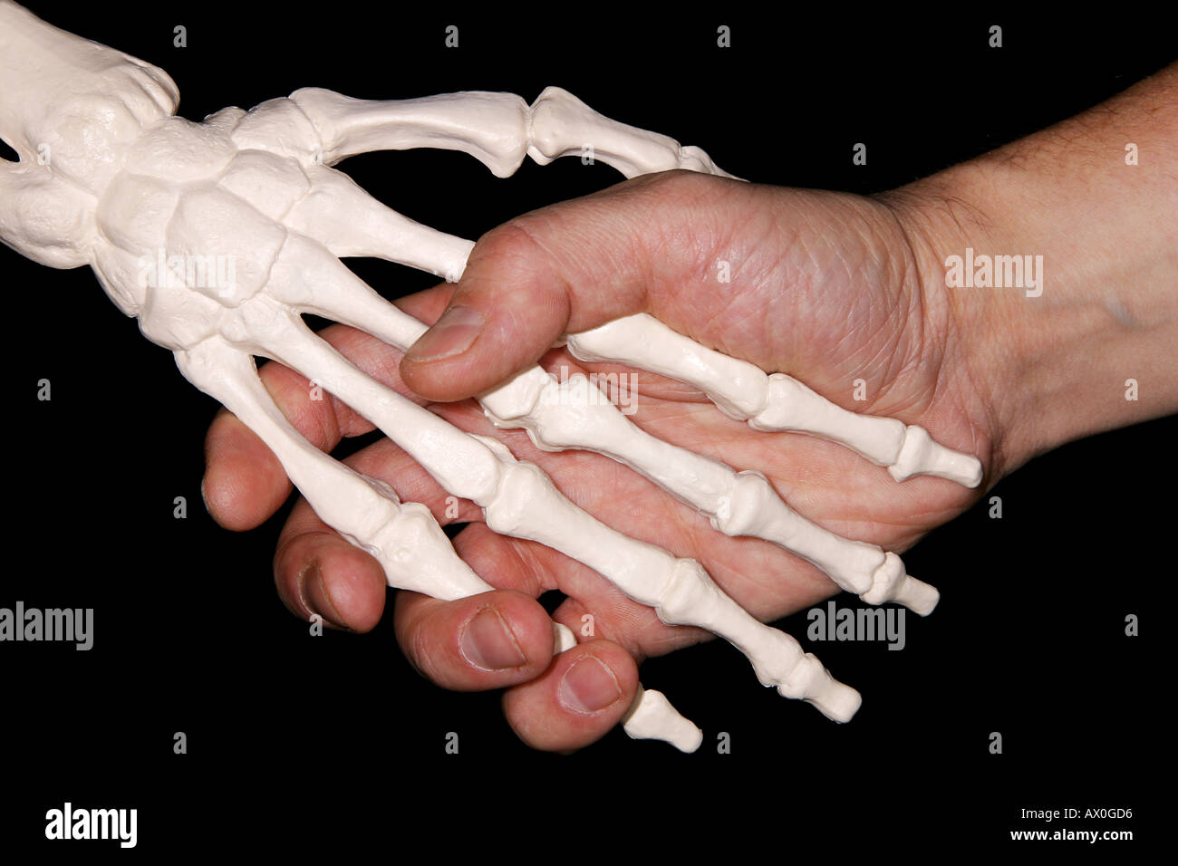 Skelett hand -Fotos und -Bildmaterial in hoher Auflösung – Alamy