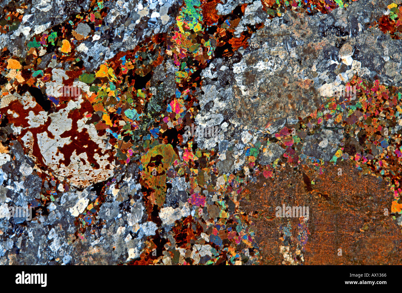 Gabbro Rock Dünnschliff zeigt Mineralien durch cross-polarisiertes ...